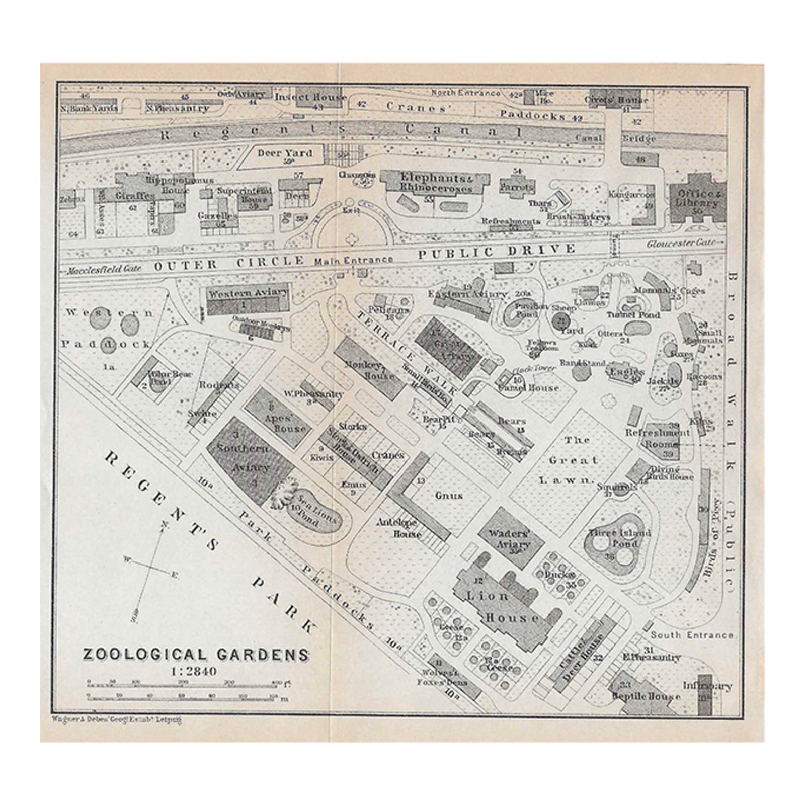 1911 Antique London Zoo Map | Chairish