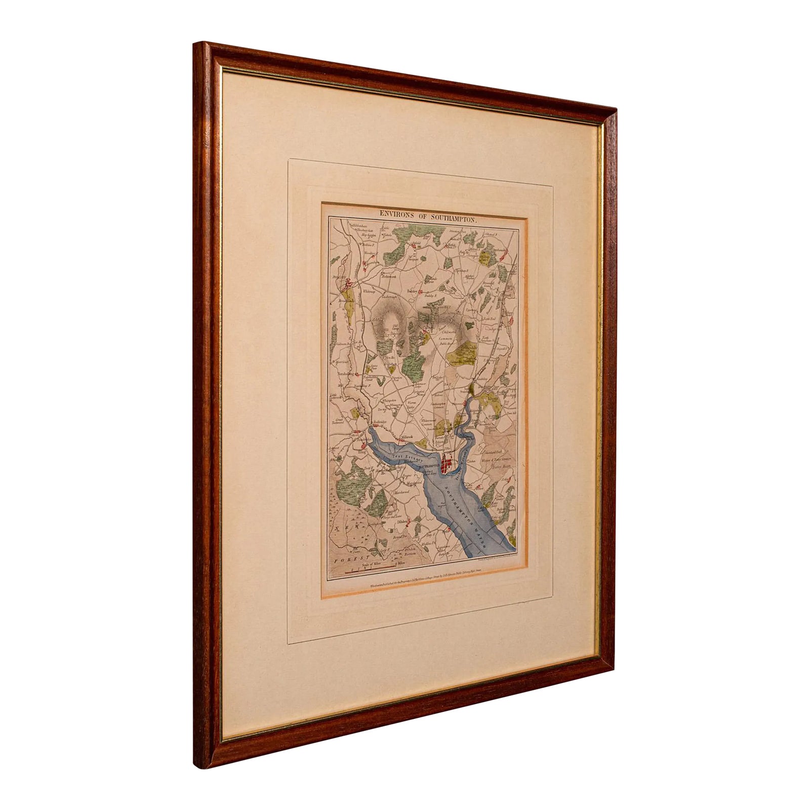 1880's Antique Lithography Map | Chairish