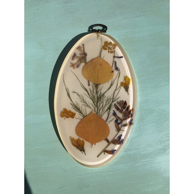 1970s Pressed Foliage Resin Art Autumn Leaves Wall Object | Chairish