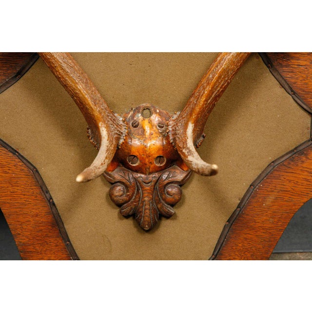 Victorian Carved Oak and Antler Coat/Hat Rack | Chairish