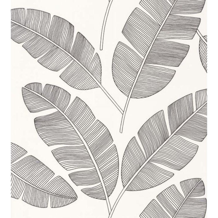 Banana Tree Wallpaper in Gray - Sample | Chairish