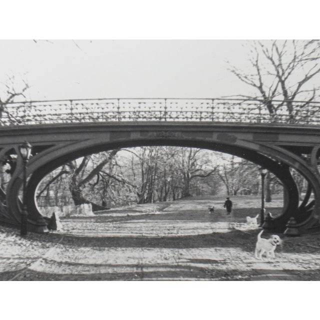 Kay Schrenk "Bridle Path Bridge" Selenium Print | Chairish