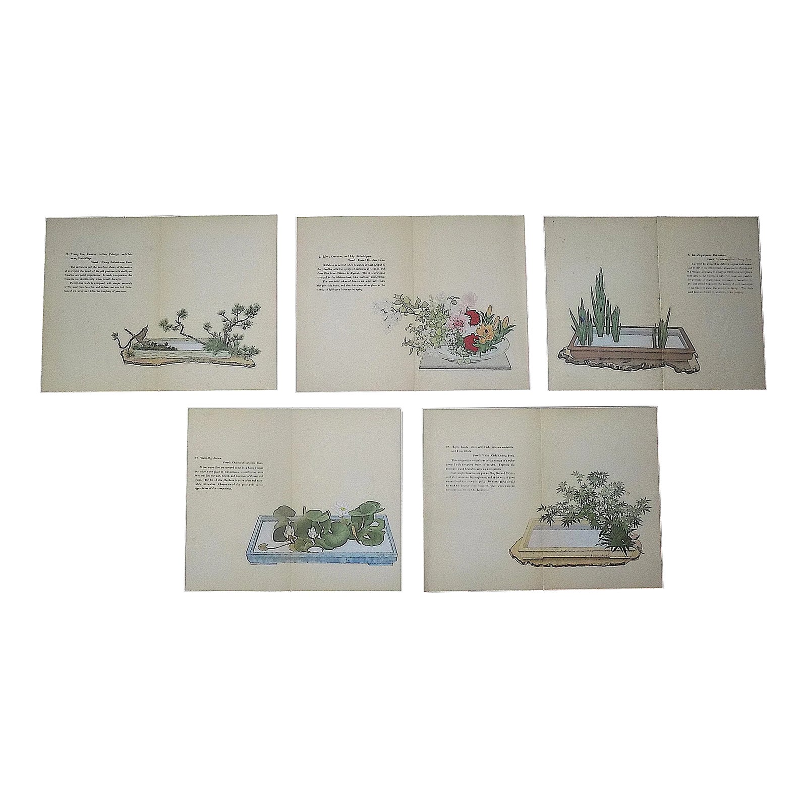 Vintage 1935 Japanese Flower Arrangement Lithographs - Set of 5 | Chairish