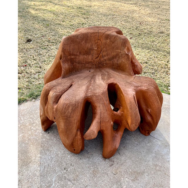 Rustic Teak Root Chair | Chairish