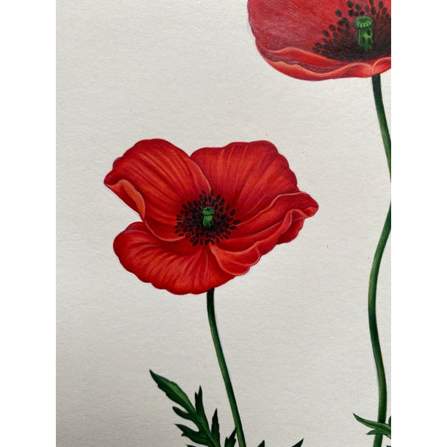 Realistic Poppy Still Life Botanical Painting , Red Poppy Original ...