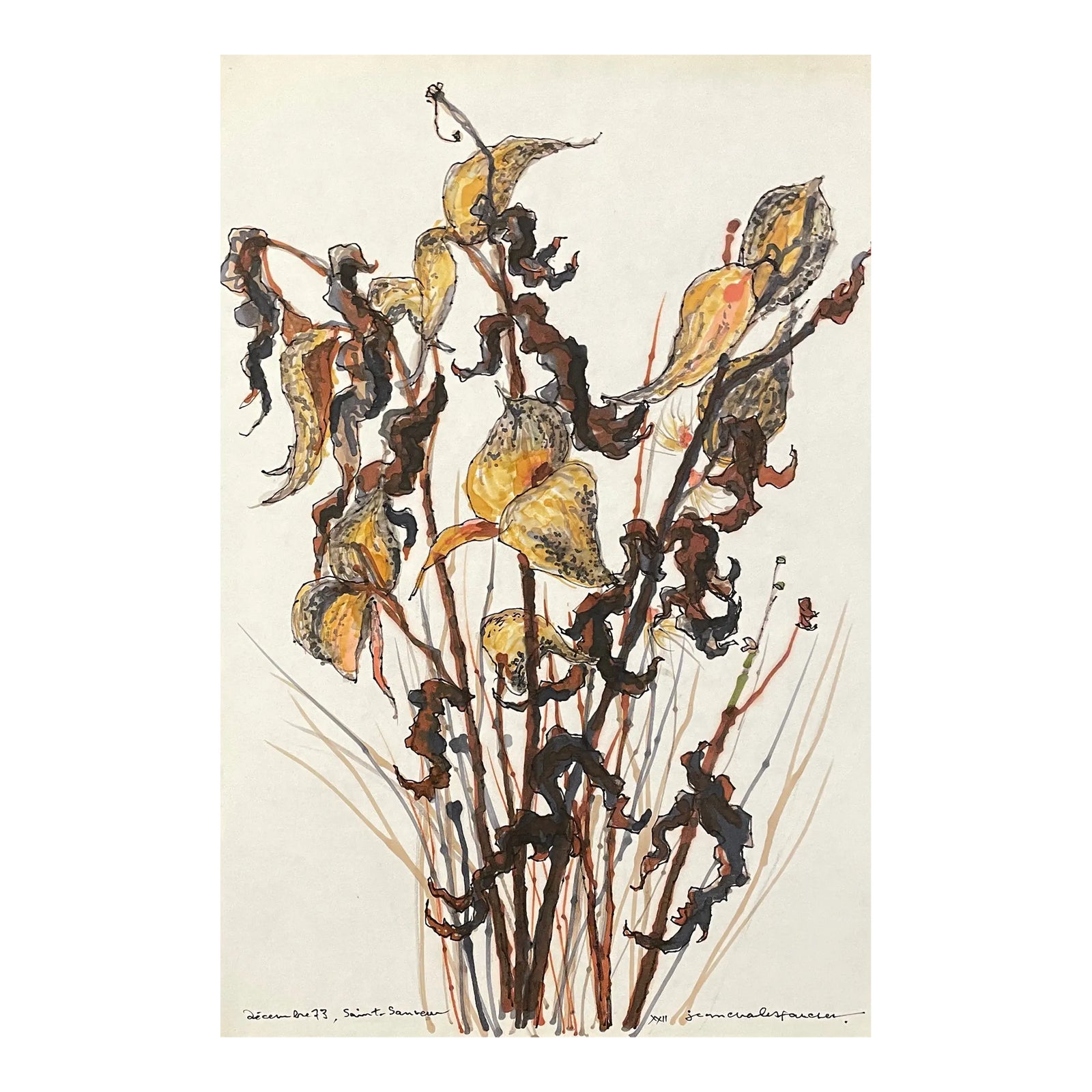 1973 Jean Charles Faucher Botanical Still Life Watercolor | Chairish