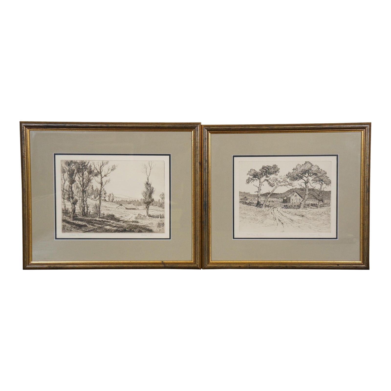 Antique Melville Thomas Wire Hillside Pastures Back From the Beach ...