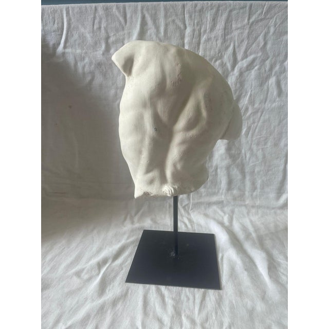 20Th Century, Amazing Decorative Gaddi Torso Plaster Sculpture. Italy ...