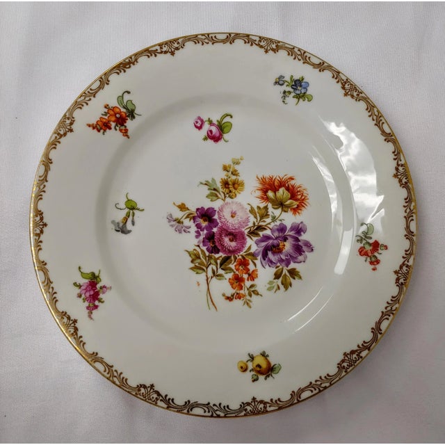 Vintage Saxe Austria Handpainted Salad Plates, Set of 6 | Chairish
