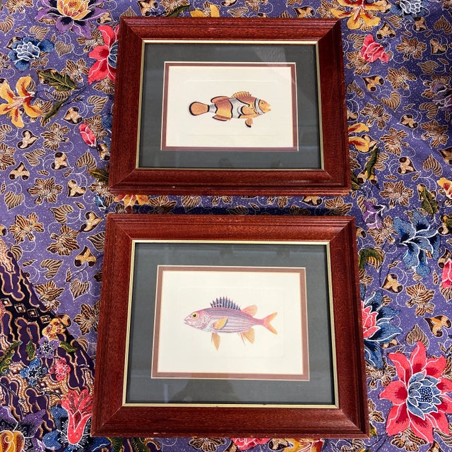 Vintage Pair of Framed Fish Prints | Chairish