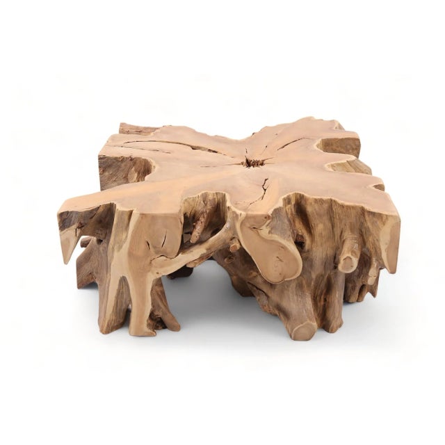 39" Inch Square Teak Root Coffee Table | Chairish