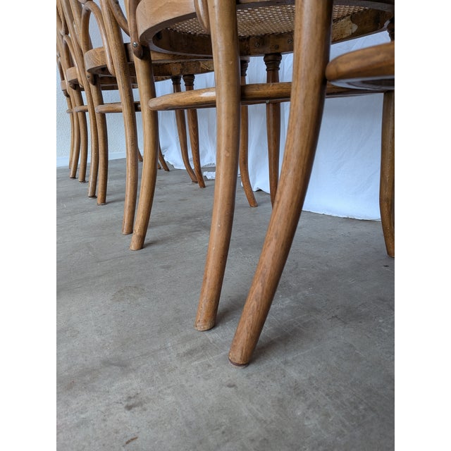 Vintage Bentwood Cane Dining Chairs, 1970s, Set of 6 | Chairish