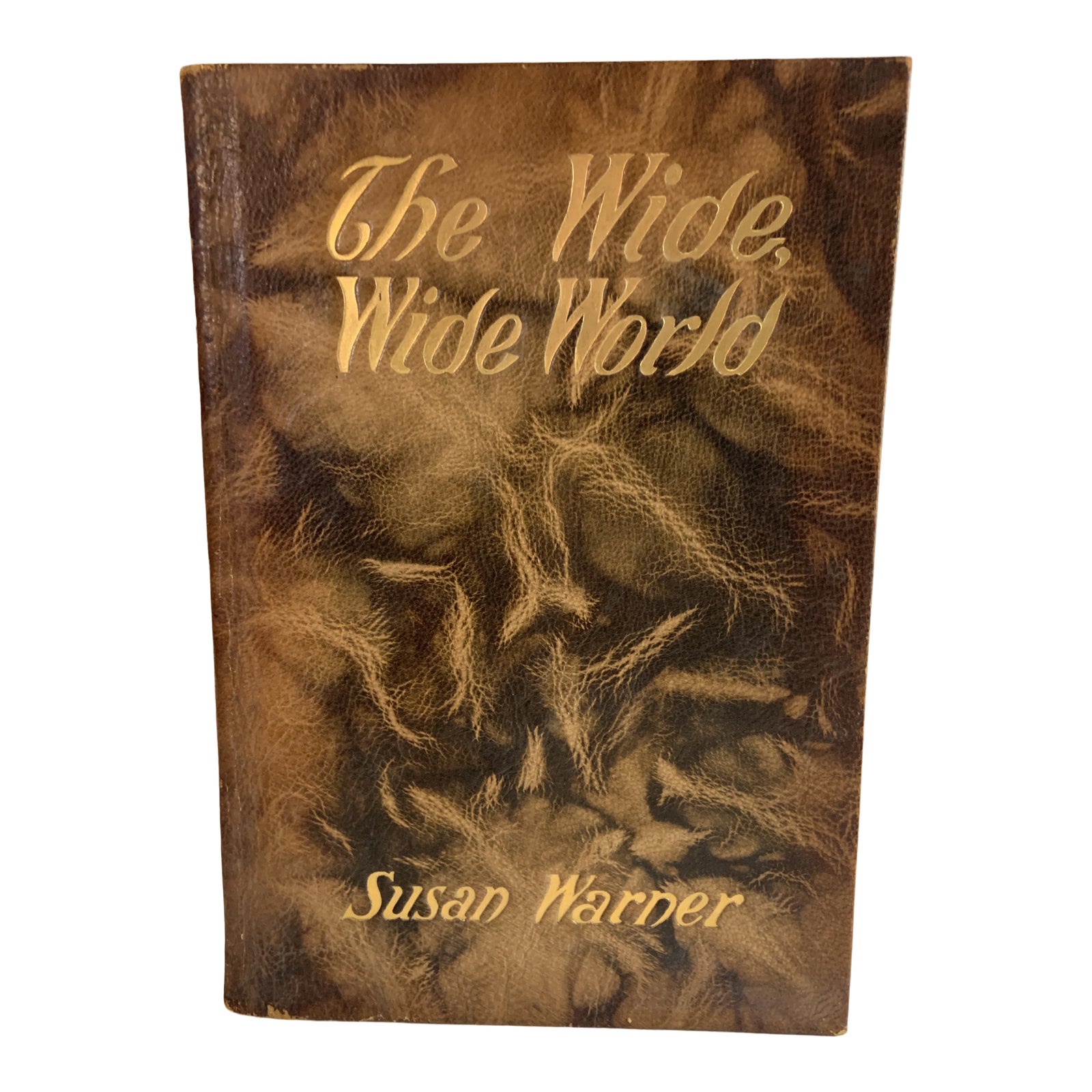 1904 The Wide, Wide World Susan Warner Leather Book | Chairish
