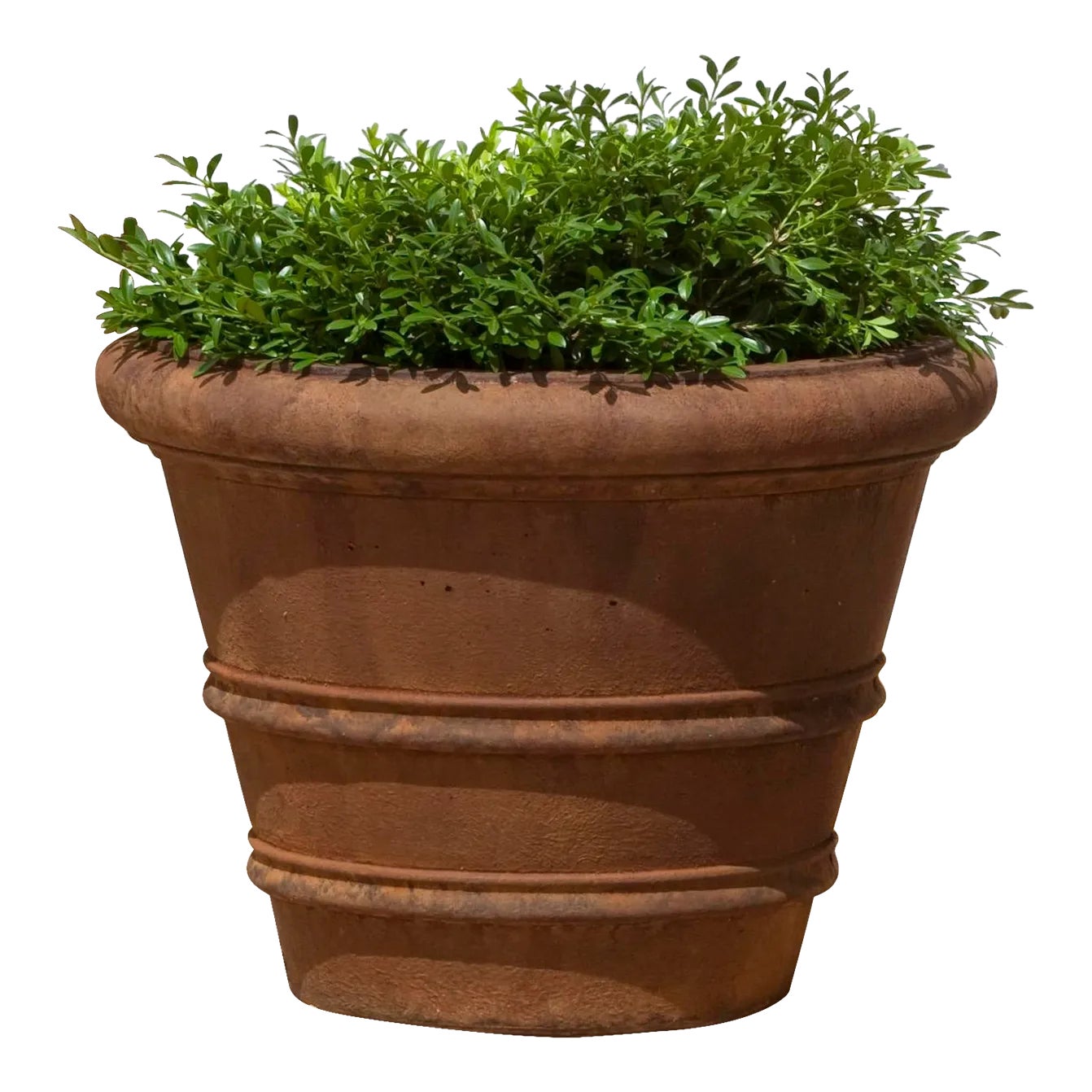 Classic Rolled Rim Planter, 14.75" | Chairish
