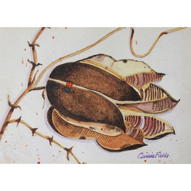 Vintage Seed Pod Watercolor Painting | Chairish