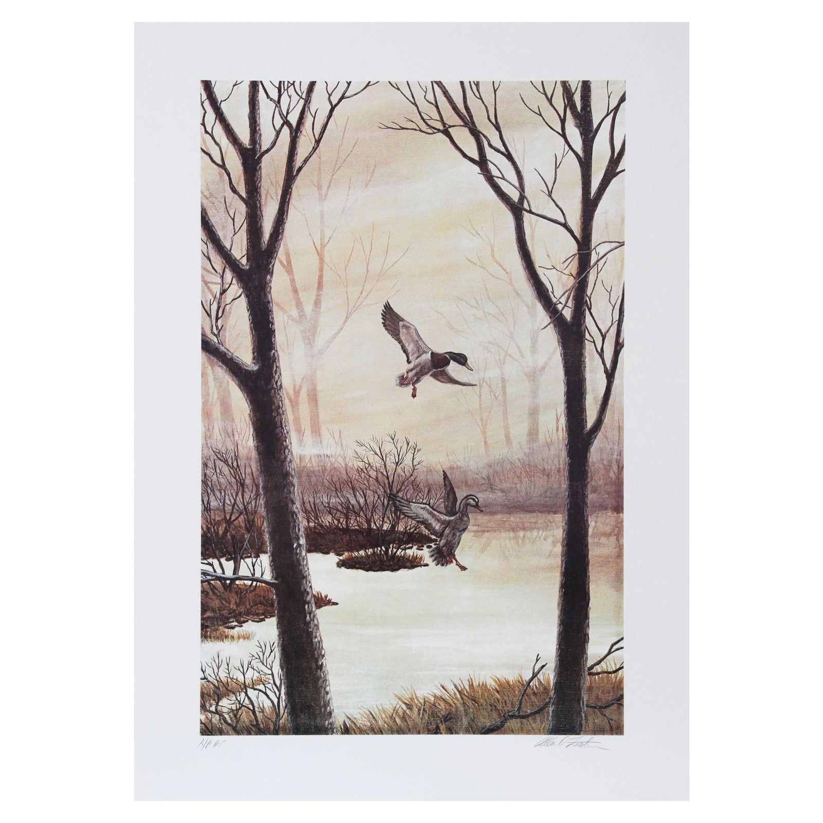 Allen Friedman, Coming in (Ducks), Lithograph | Chairish