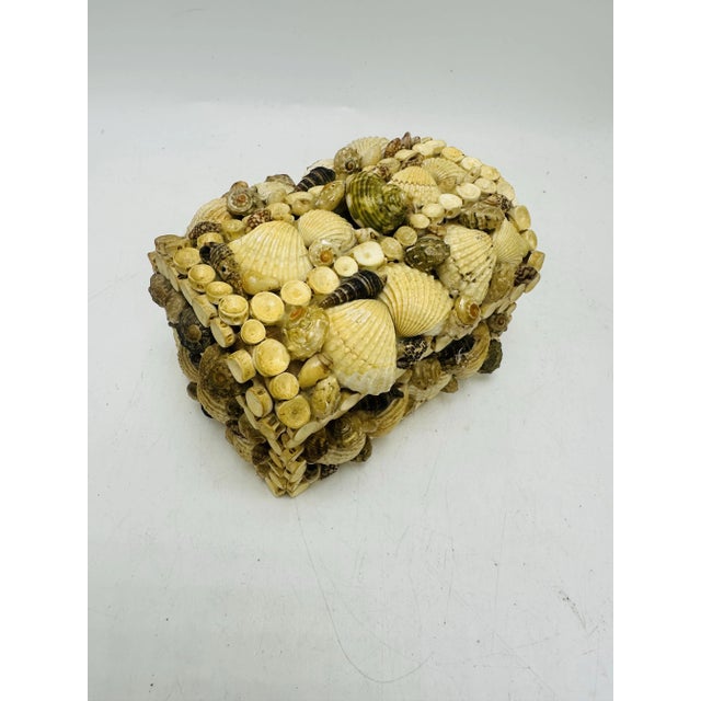 Vintage Shell Box | Chairish