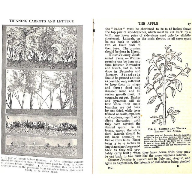 "Ward Lock's Book of Gardening: An Abc of Garden Management" | Chairish