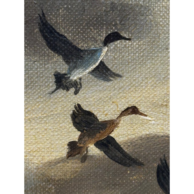 Mid Century Oil Painting Canadian Ducks Pintails Flushed Out Duck Duck ...