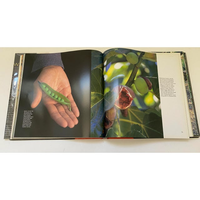 1st Edition 1997 the Garden Design Book by Mercer and Garden Design ...