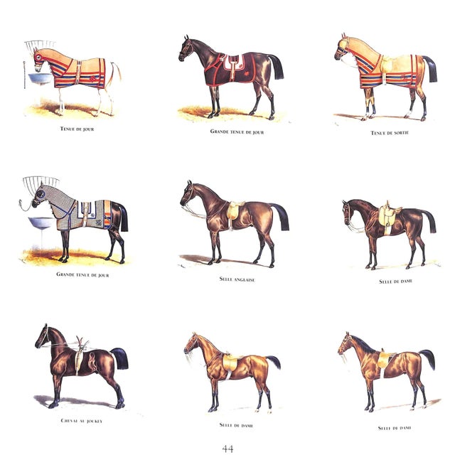 "La Selle Hermes" 1993 Birnbaum, Michel [Editeur] | Chairish