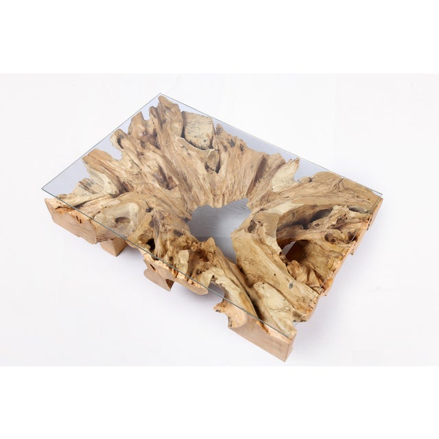 Rectangular Teak Root Coffee Table 85 | Chairish