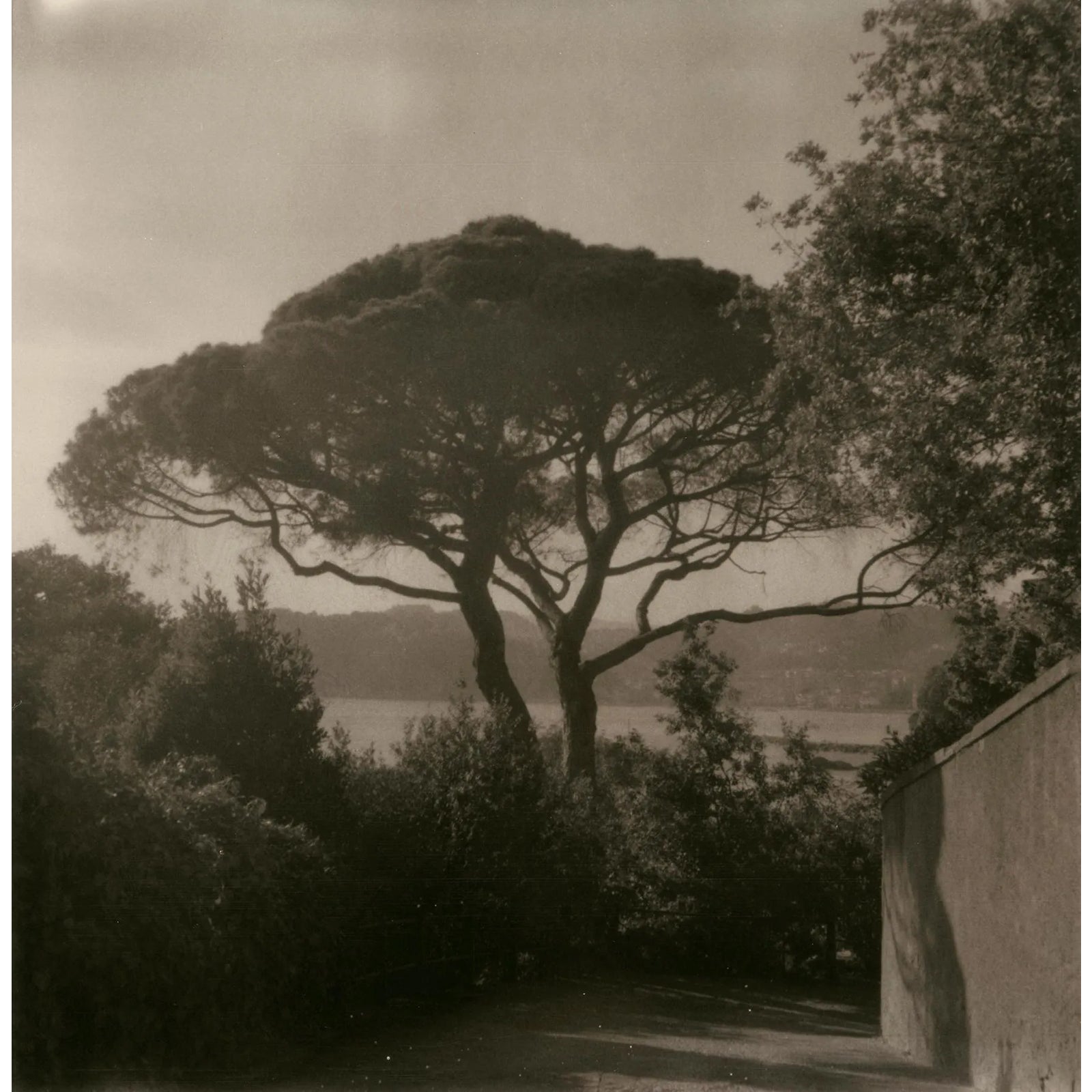 Ugne Pouwell, Lerici 258, 2025, Polaroid Coastal Landscape Photograph ...
