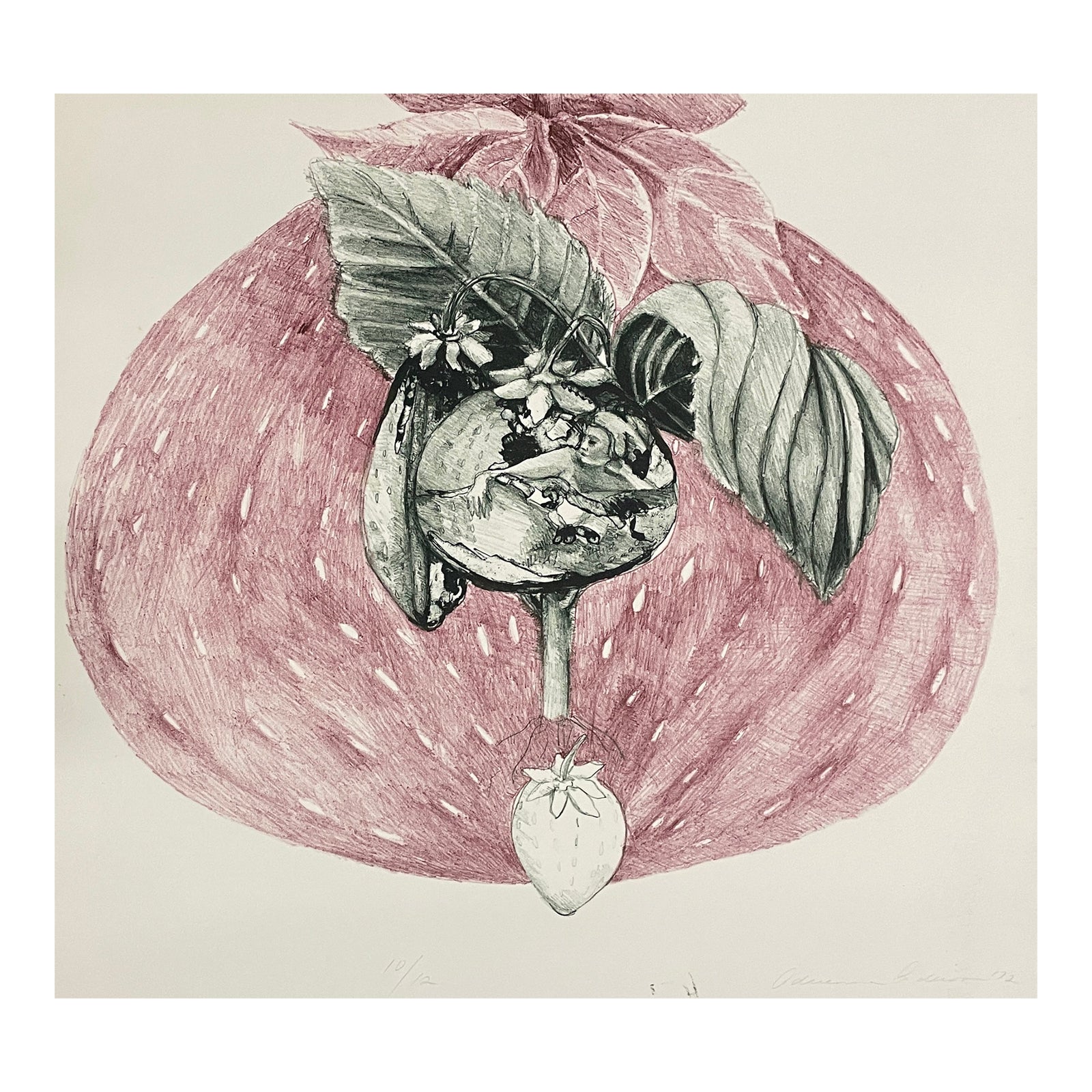 1972 Adrienne Anderson Lithograph | Chairish