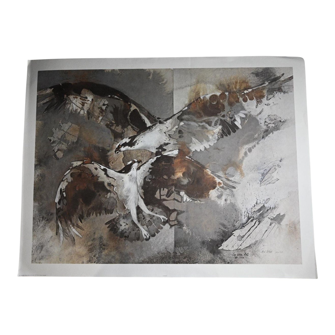 “Falcons in Flight” Limited Edition Print by Sue Wise, 1977 | Chairish
