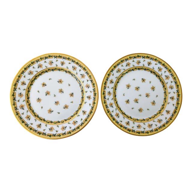 Raynaud Bougainville Plates - a Pair | Chairish