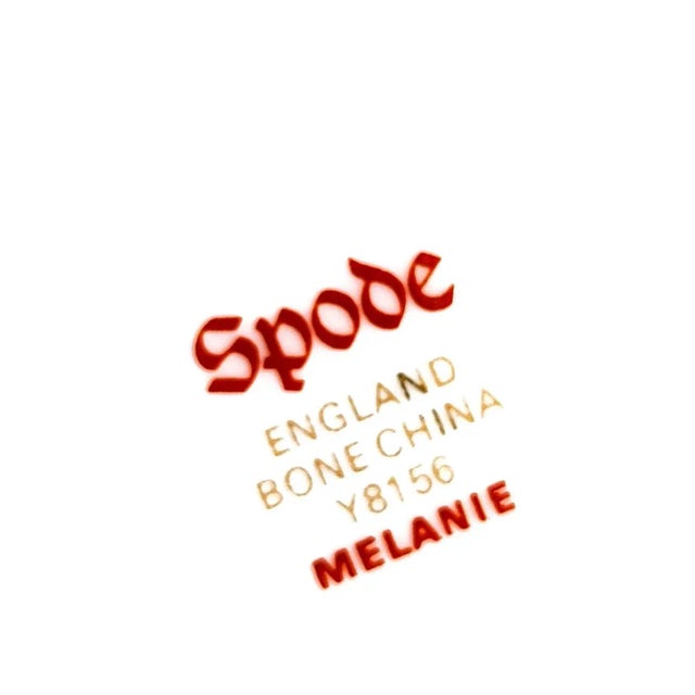 Spode English Bone China Dinner Plates in Melanie Pattern, Set of 12 ...