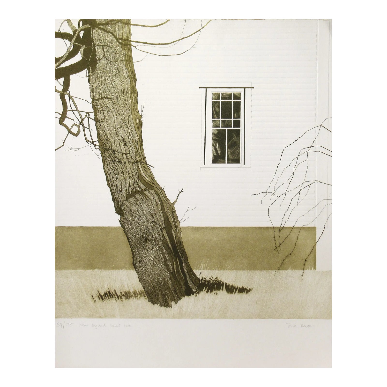 Tessa Beaver, New England Locust Tree, Circa 1980 | Chairish