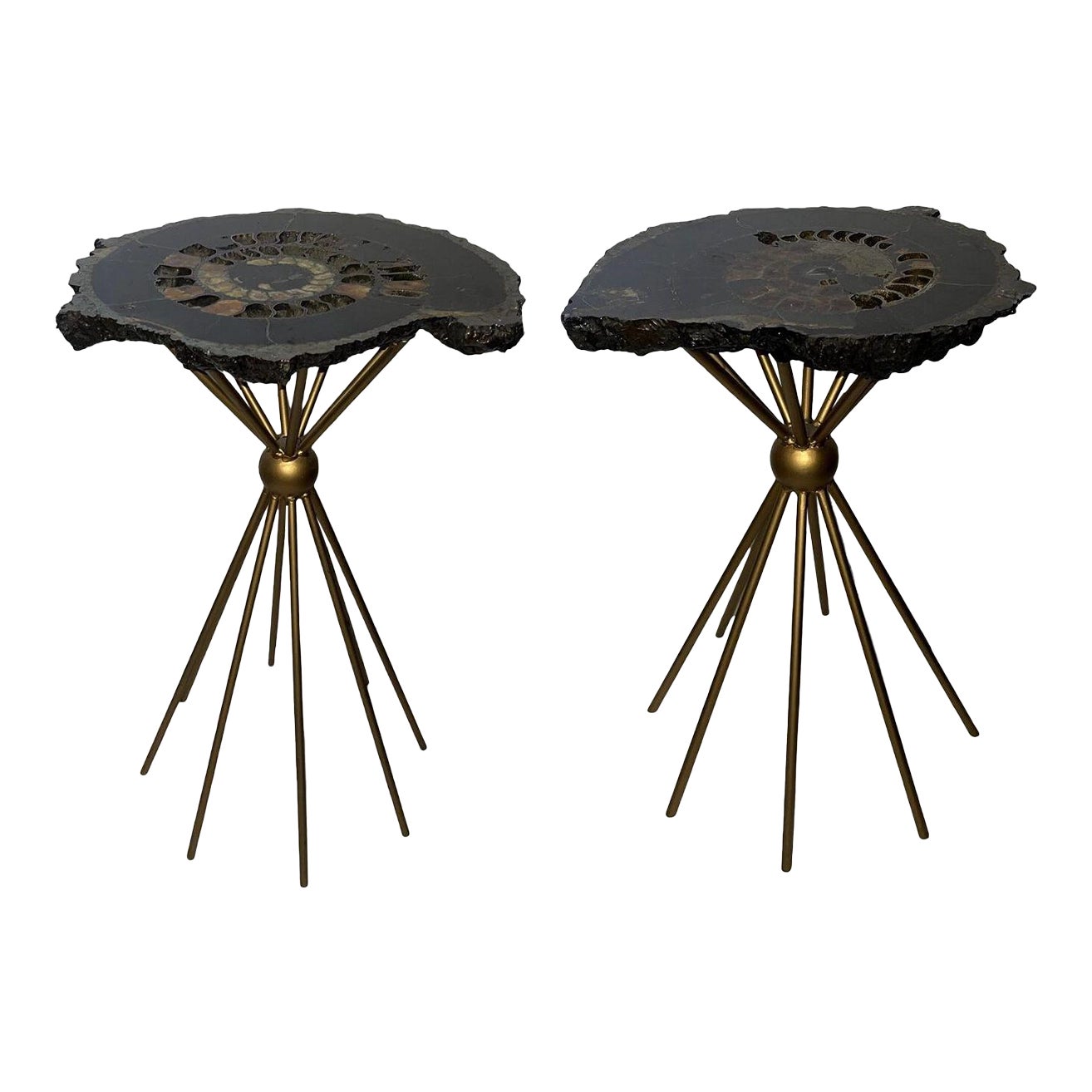 Pair of 20th Century Ammonite Side Tables | Chairish