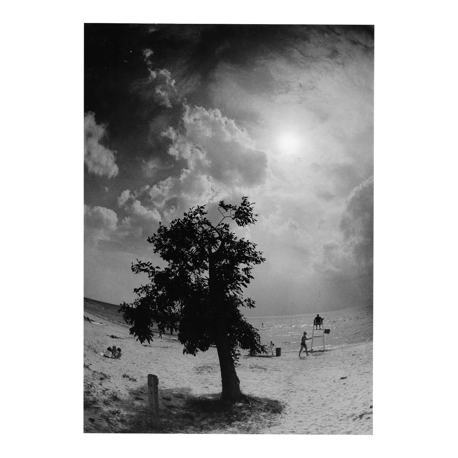 1984 Southwick Beach Landscape Photograph | Chairish