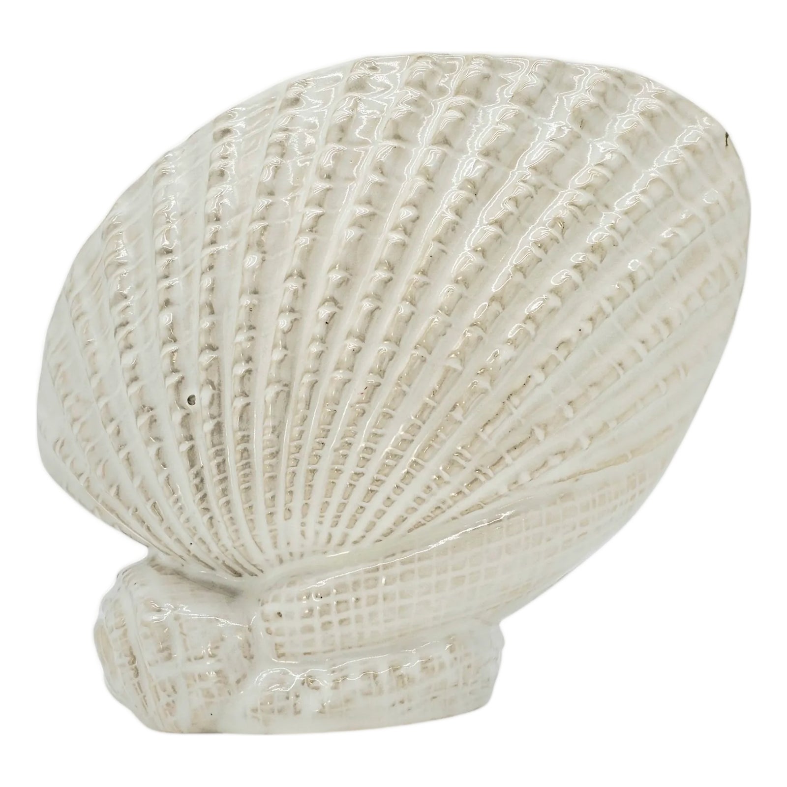 Coastal Ceramic Clam Shell Vase in Palm Beach Style 11.5" | Chairish