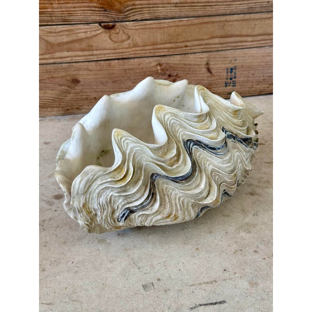 Vintage Coastal Clam Shell Cast Resin Decorative Bowl | Chairish