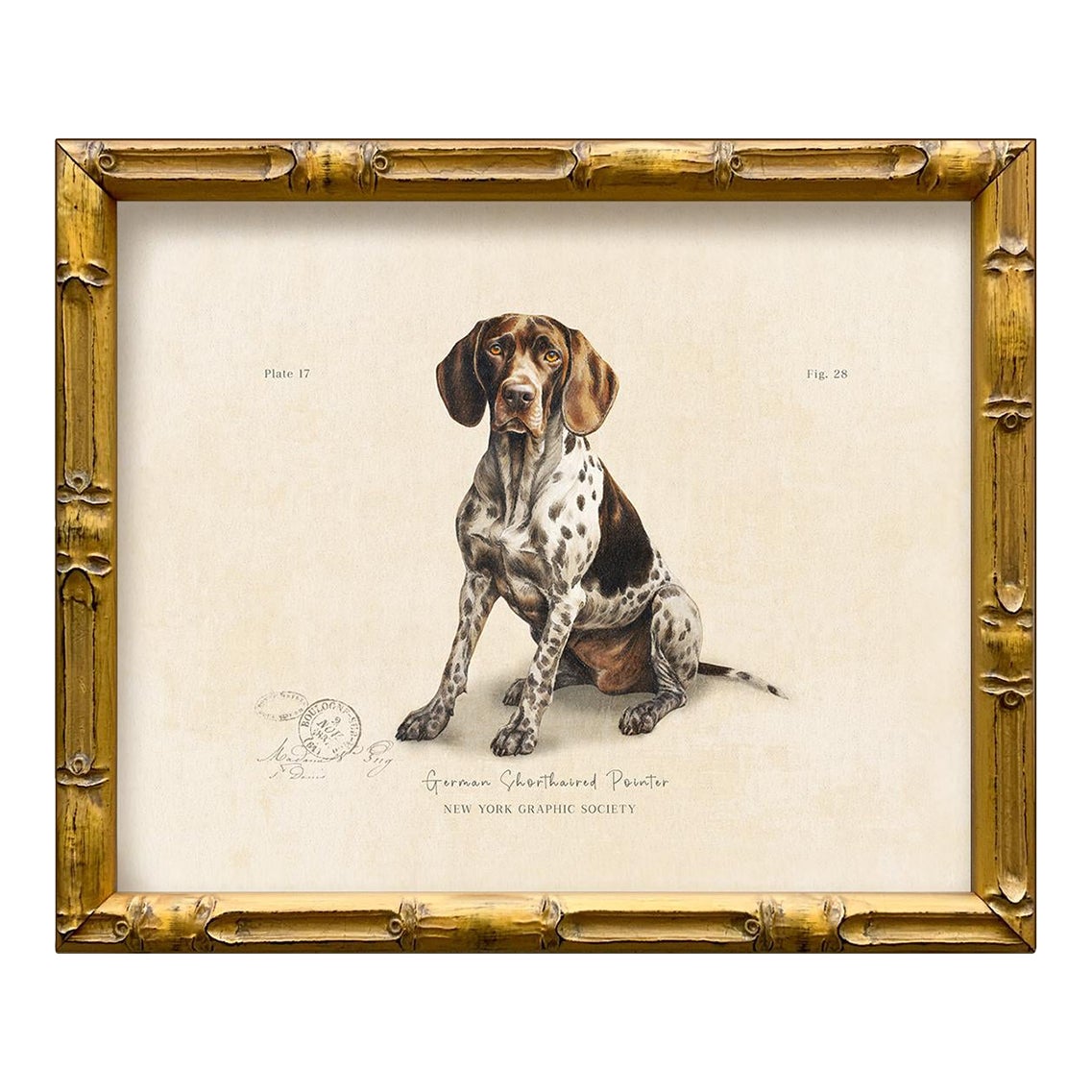 Reproduction Art Print of Vintage "World of Dogs" Illustration (German ...