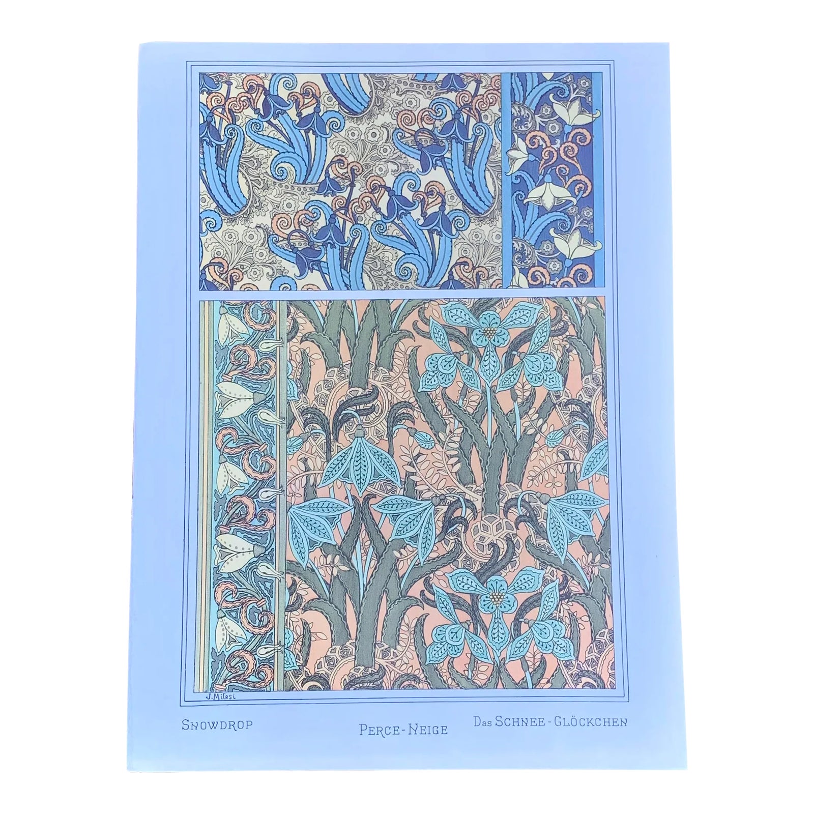 Art Nouveau Botanical Illustration Snowdrop Flower Pattern Sheet | Chairish