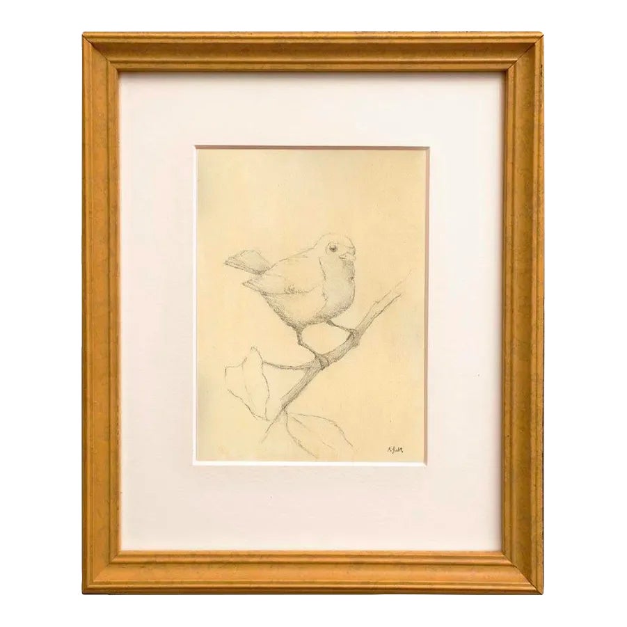 "The Robin" Original Abigail Matheson Graphite and Wash Drawing on ...