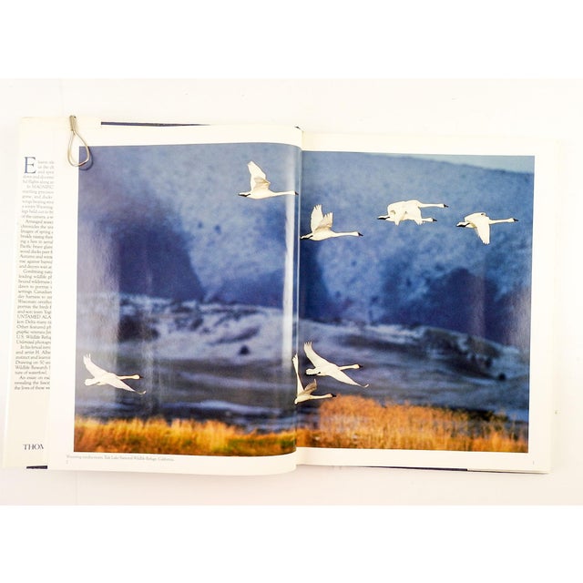 Voyagers: Waterfowl of North America Book | Chairish