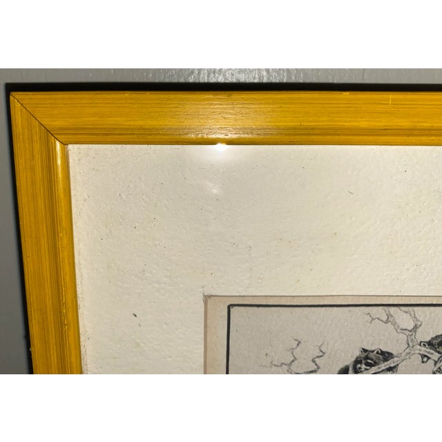 “Raccoons” Miniature Pencil Signed and Numbered Litho by Benson Moore ...