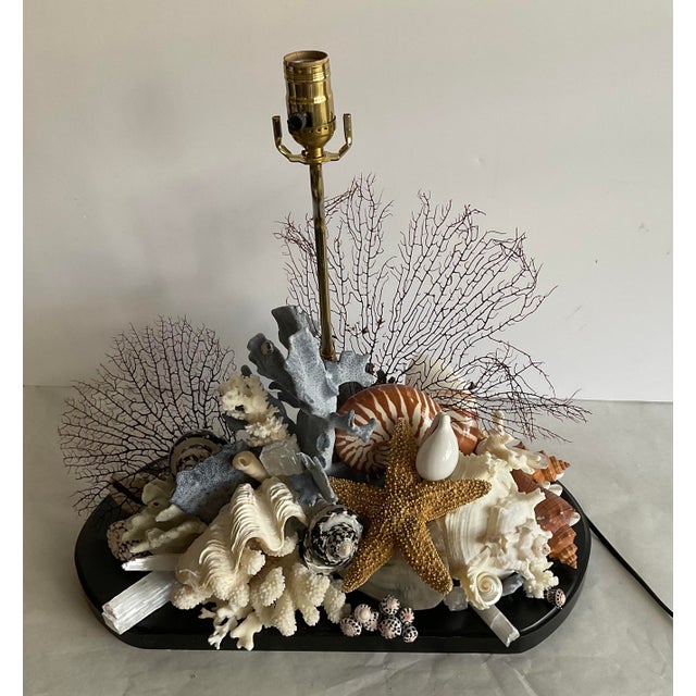 Shelled Table Lamp, Original Design | Chairish