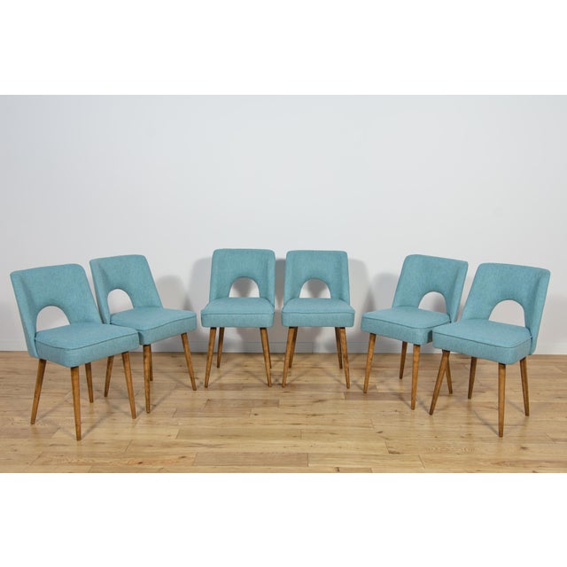 Shell Chairs from Bydgoszcz Furniture Factory, Poland, 1960s, Set of 6 ...