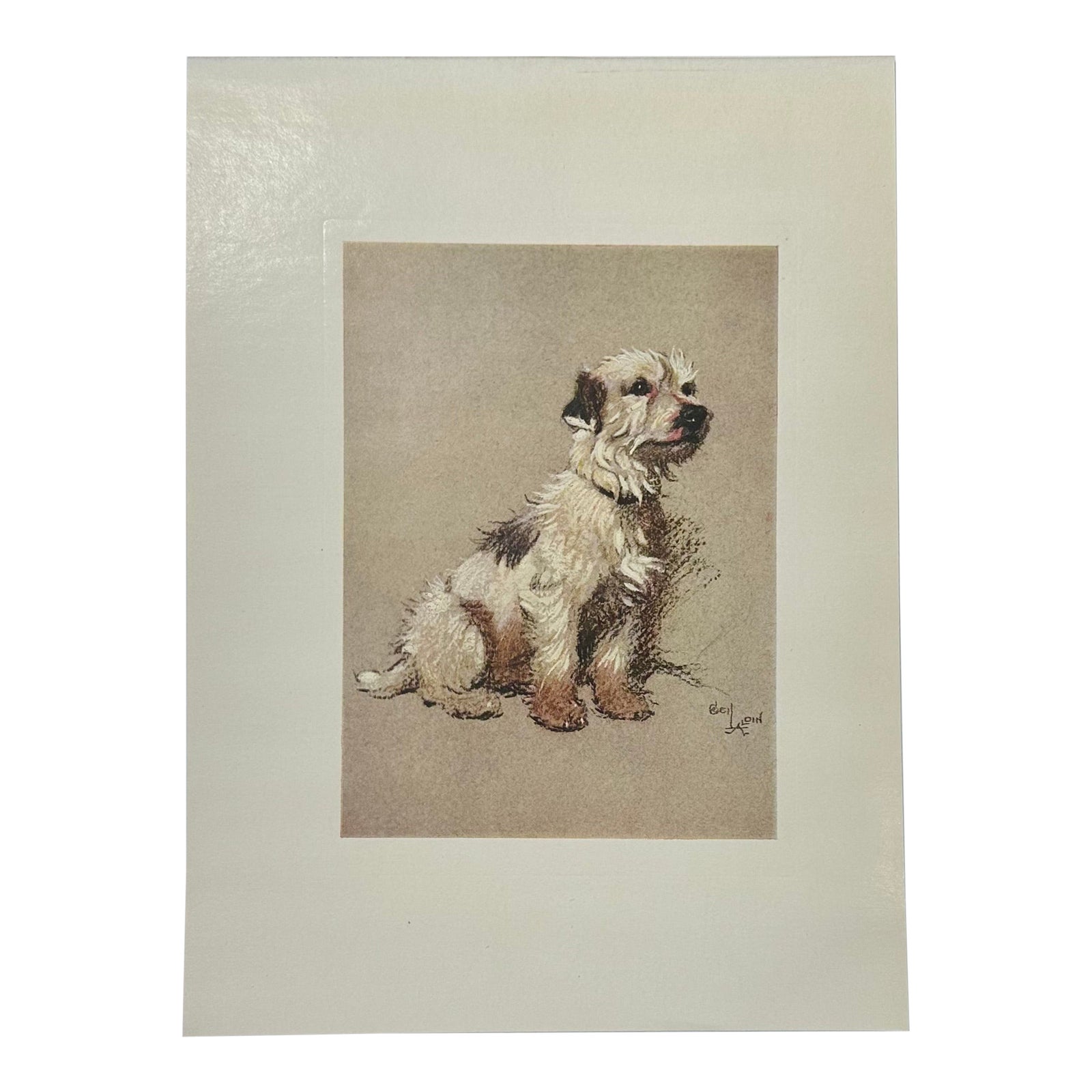 Hunt Fox Terrier Dog by Cecil Aldin, 1928 | Chairish