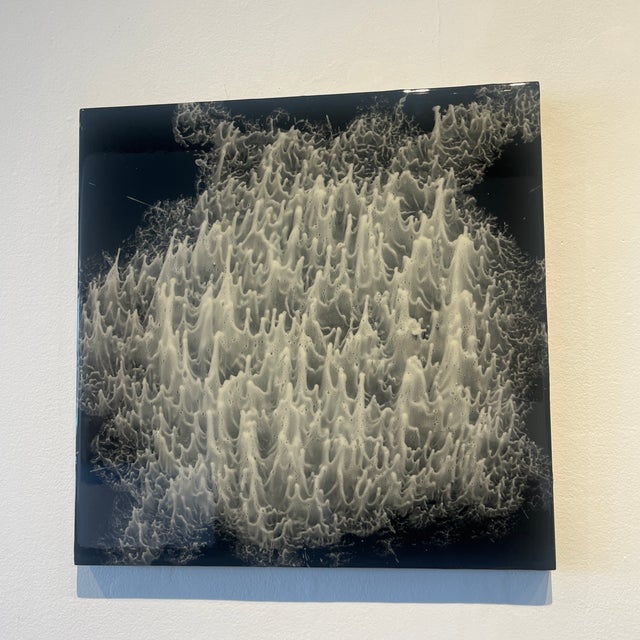 Gray Abstract Contemporary Organic Painting by Bruce Riley | Chairish