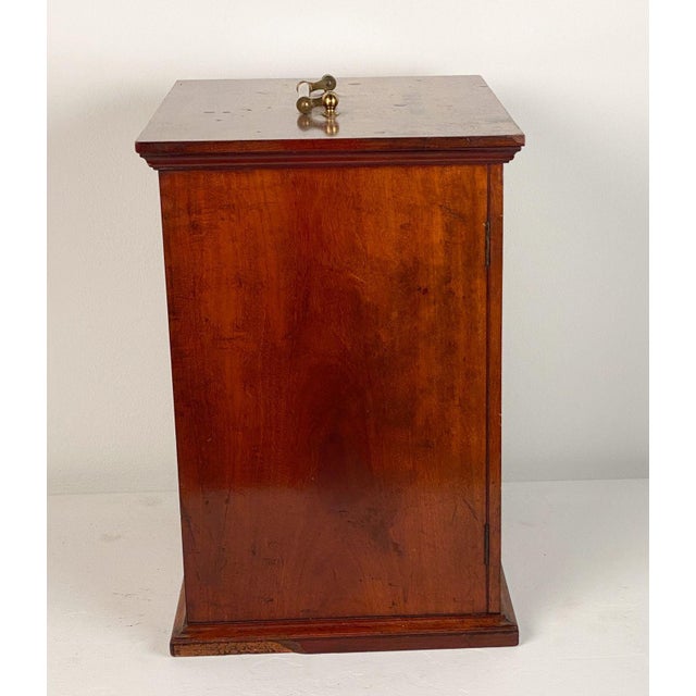 Collector's Cabinet, England Circa 1880 | Chairish