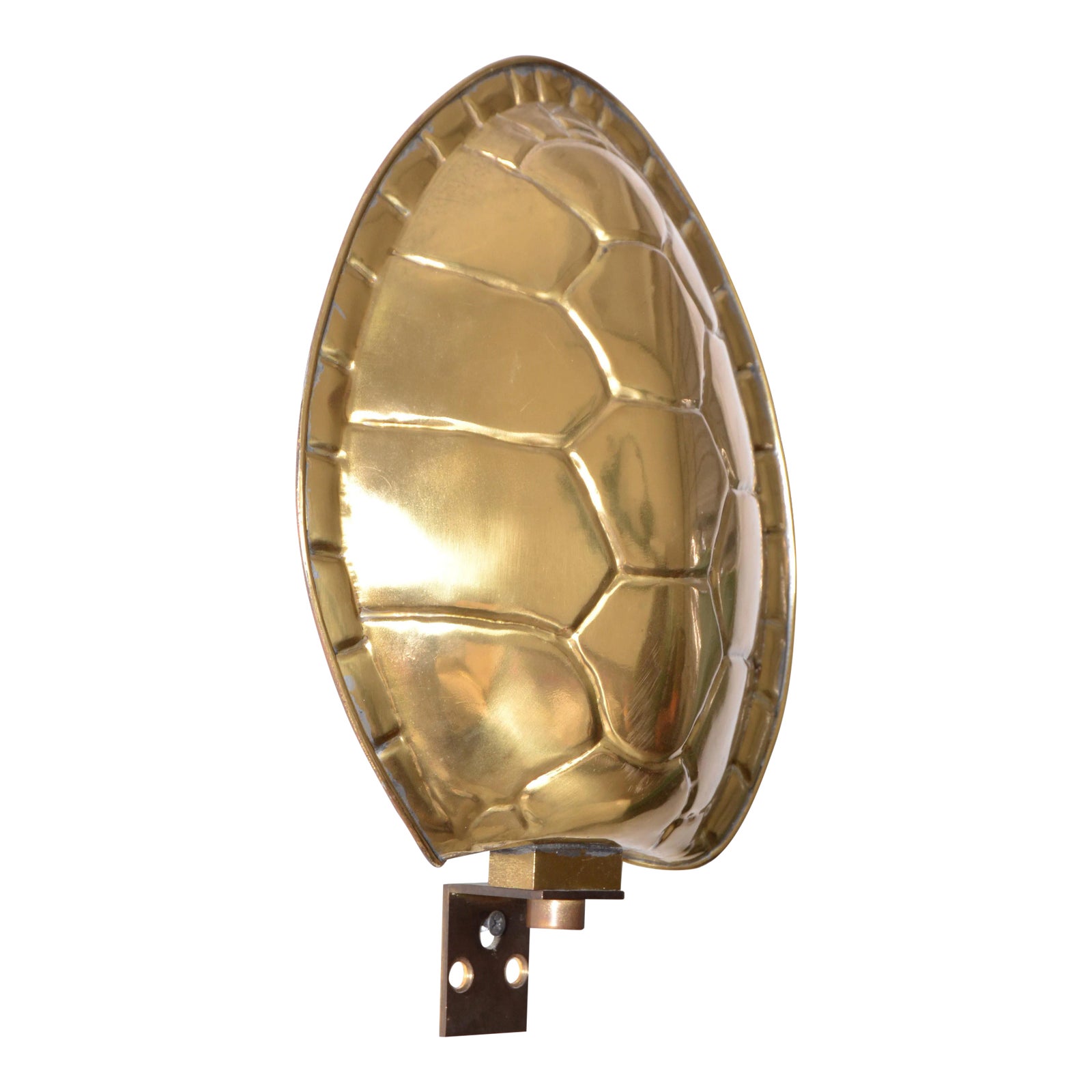 tortoise shell light