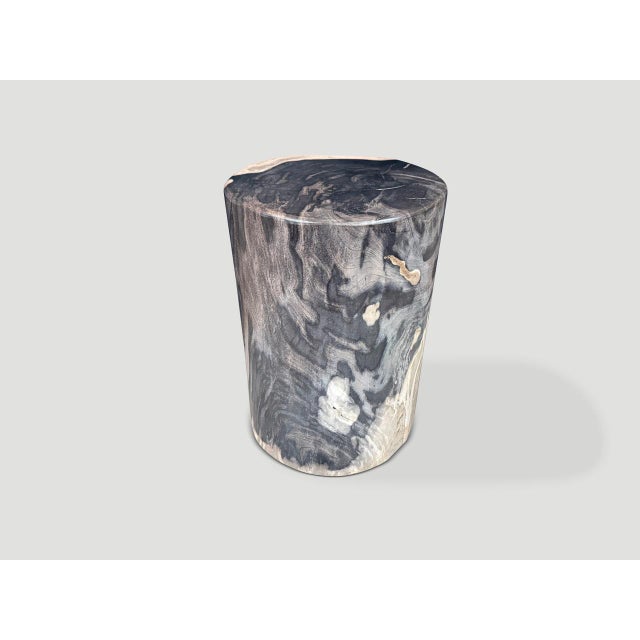 Andrianna Shamaris Modern Organic Super Smooth Petrified Wood Side ...