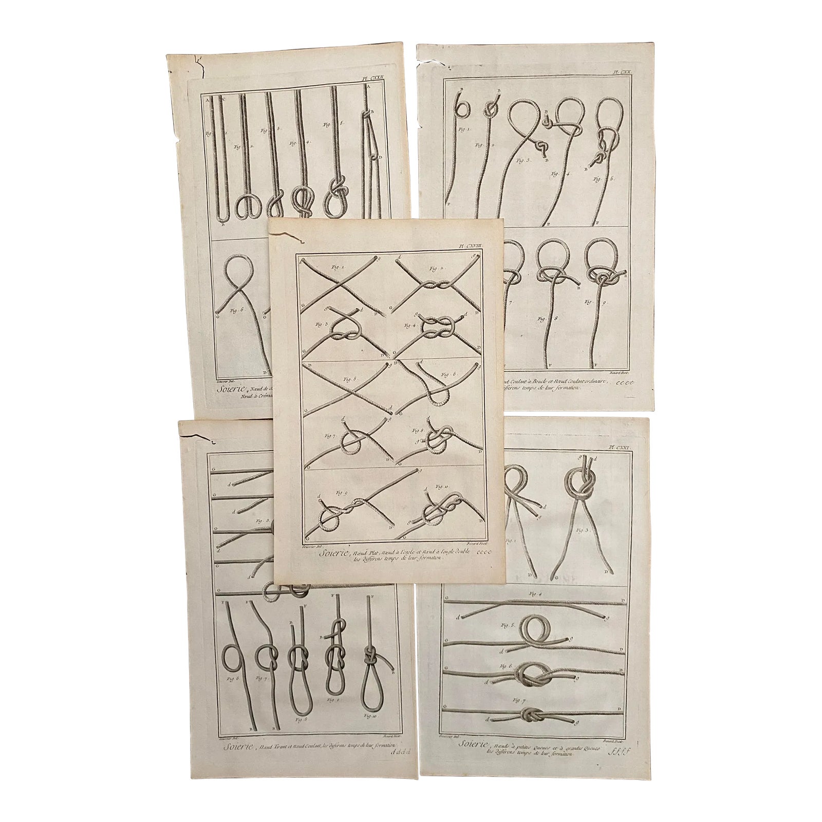 Antique 18th Century Knot Engravings - Set of Five | Chairish