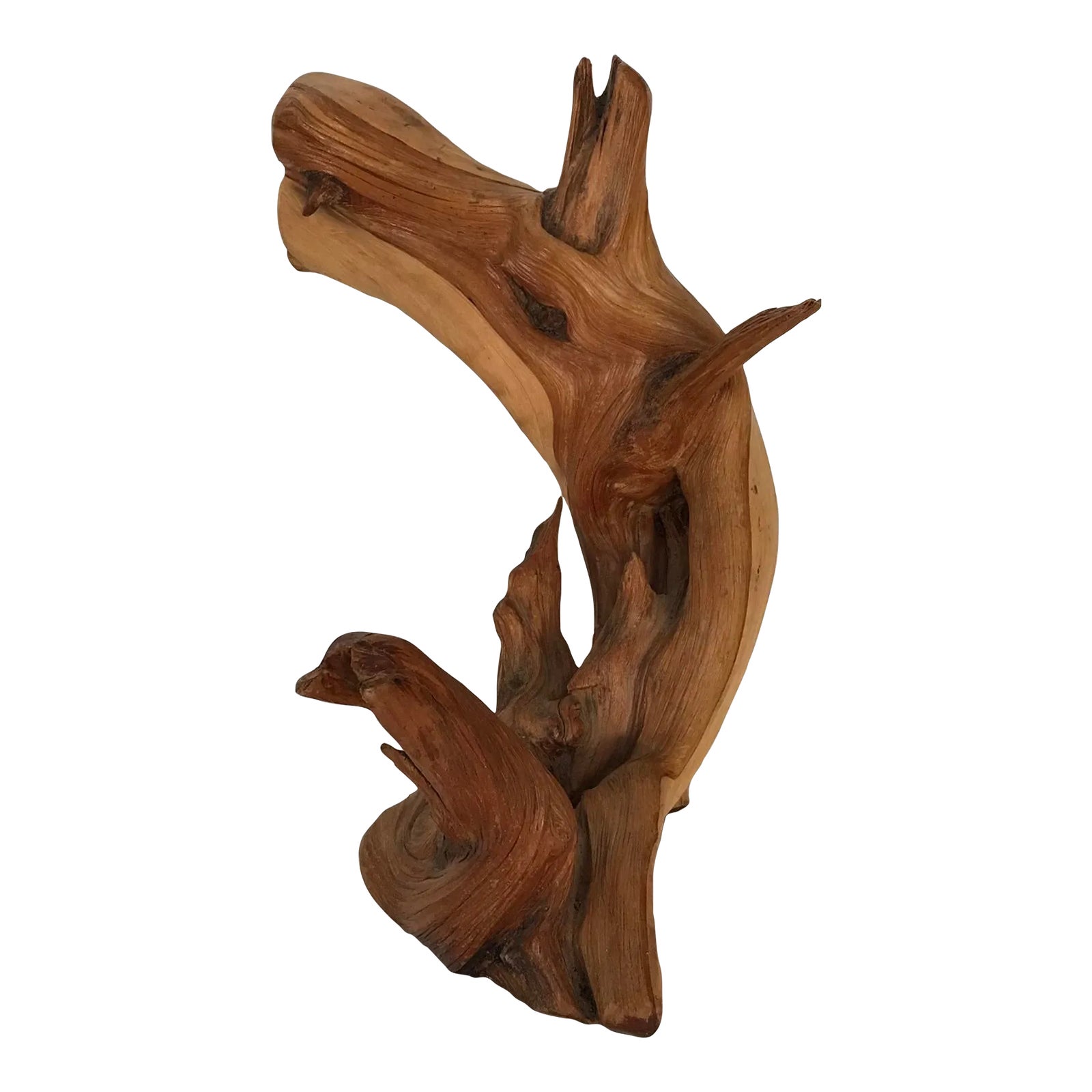 Early 21st Century Natural Tree Root Sculpture | Chairish